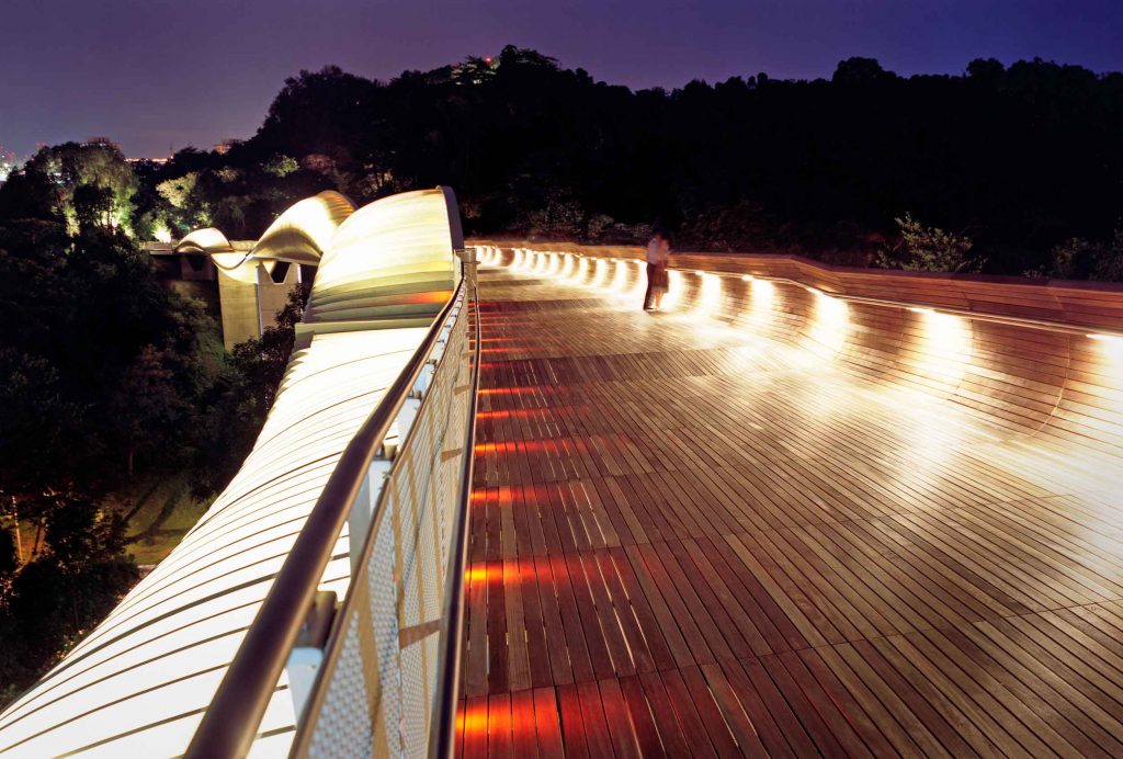 Henderson Waves Footbridge. - AKT II